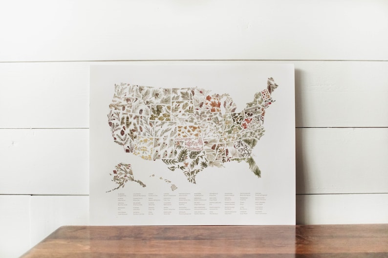 United States Tree Map State Trees Print State Trees | Etsy