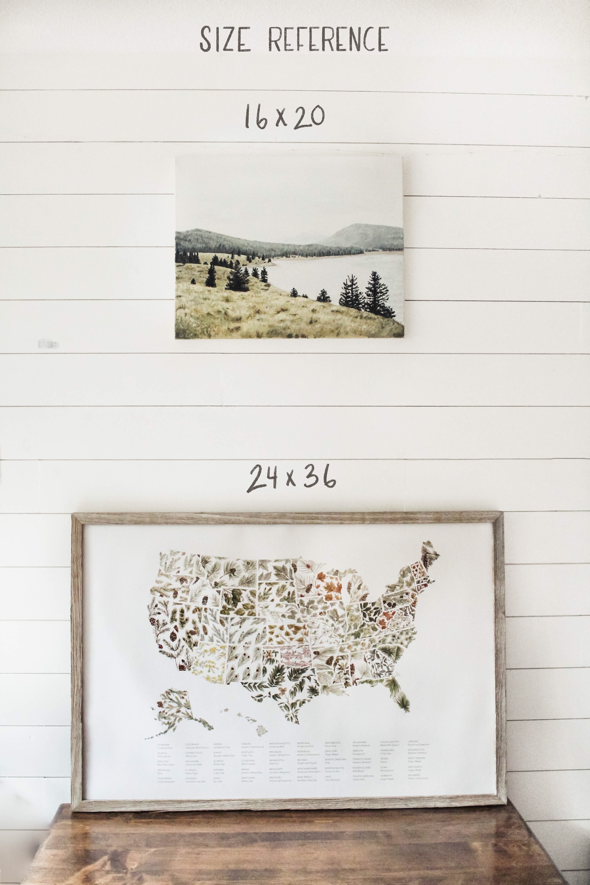 Large United States Tree Map Print Poster Size US Map | Etsy