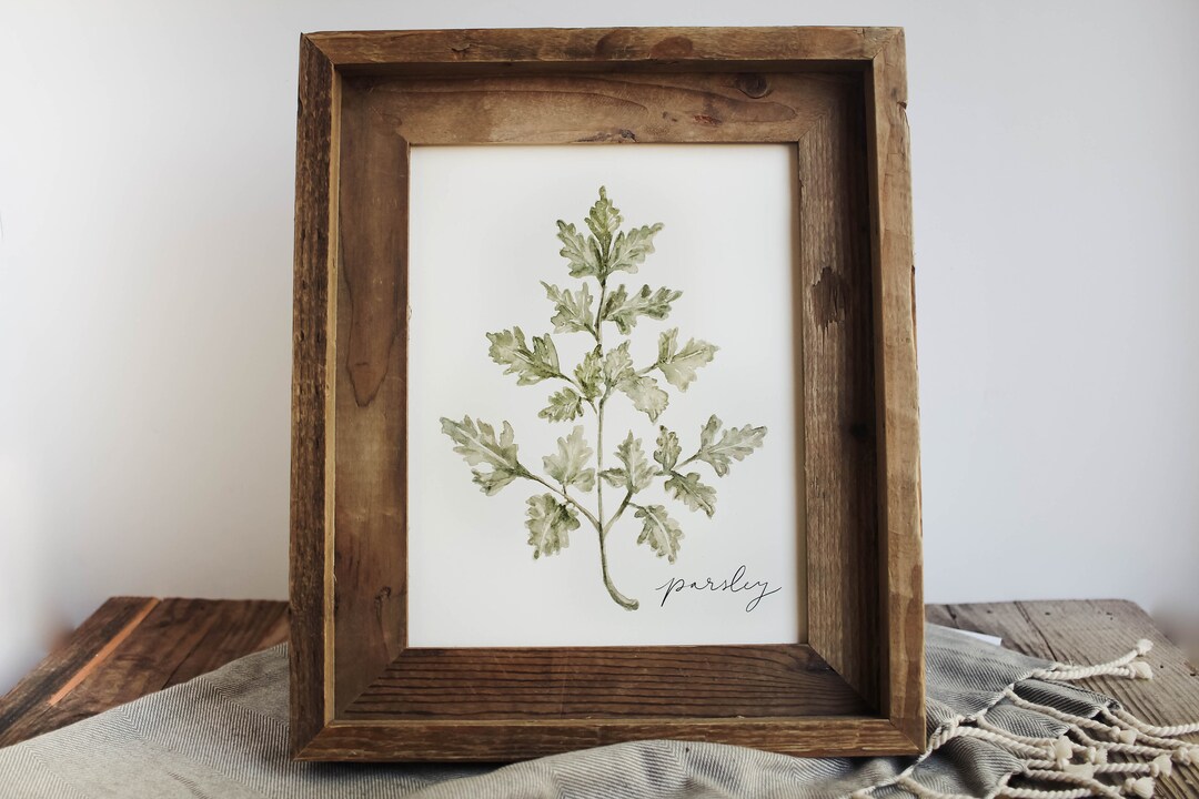 Parsley Print - Watercolor Parsley Print, Home Decor Print, Herb Print ...