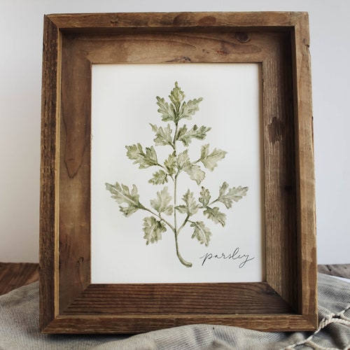 Parsley Print Watercolor Parsley Print Home Decor Print - Etsy