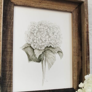 White Hydrangea Print - Watercolor Flower, Watercolor Hydrangea ...