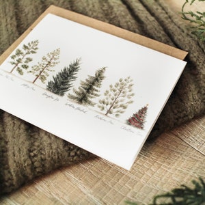 Christmas Collection of Evergreens Card - Evergreen Trees, Pine Tree ...