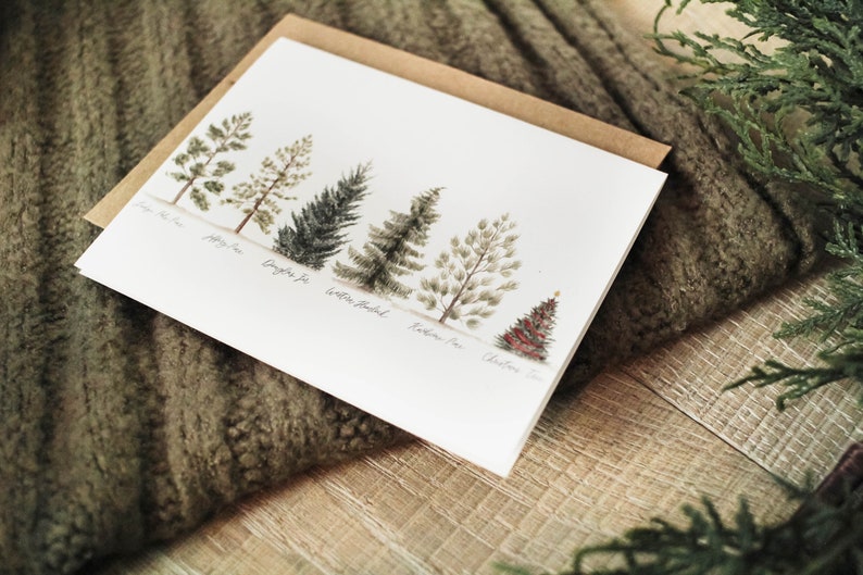Christmas Collection of Evergreens Card Evergreen Trees - Etsy