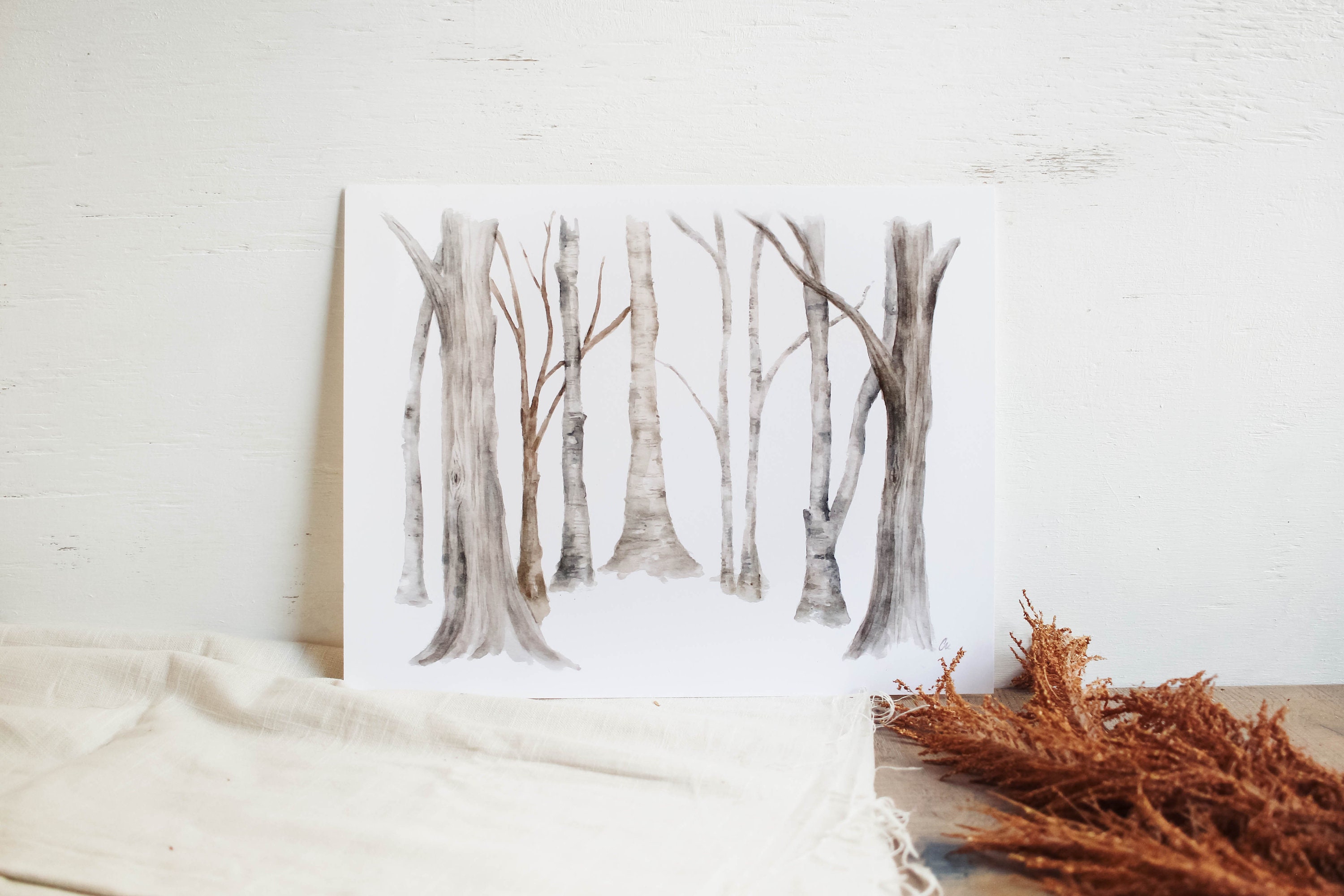 Fall Birch Trees Print Fall Trees Print Fall Print Fall | Etsy