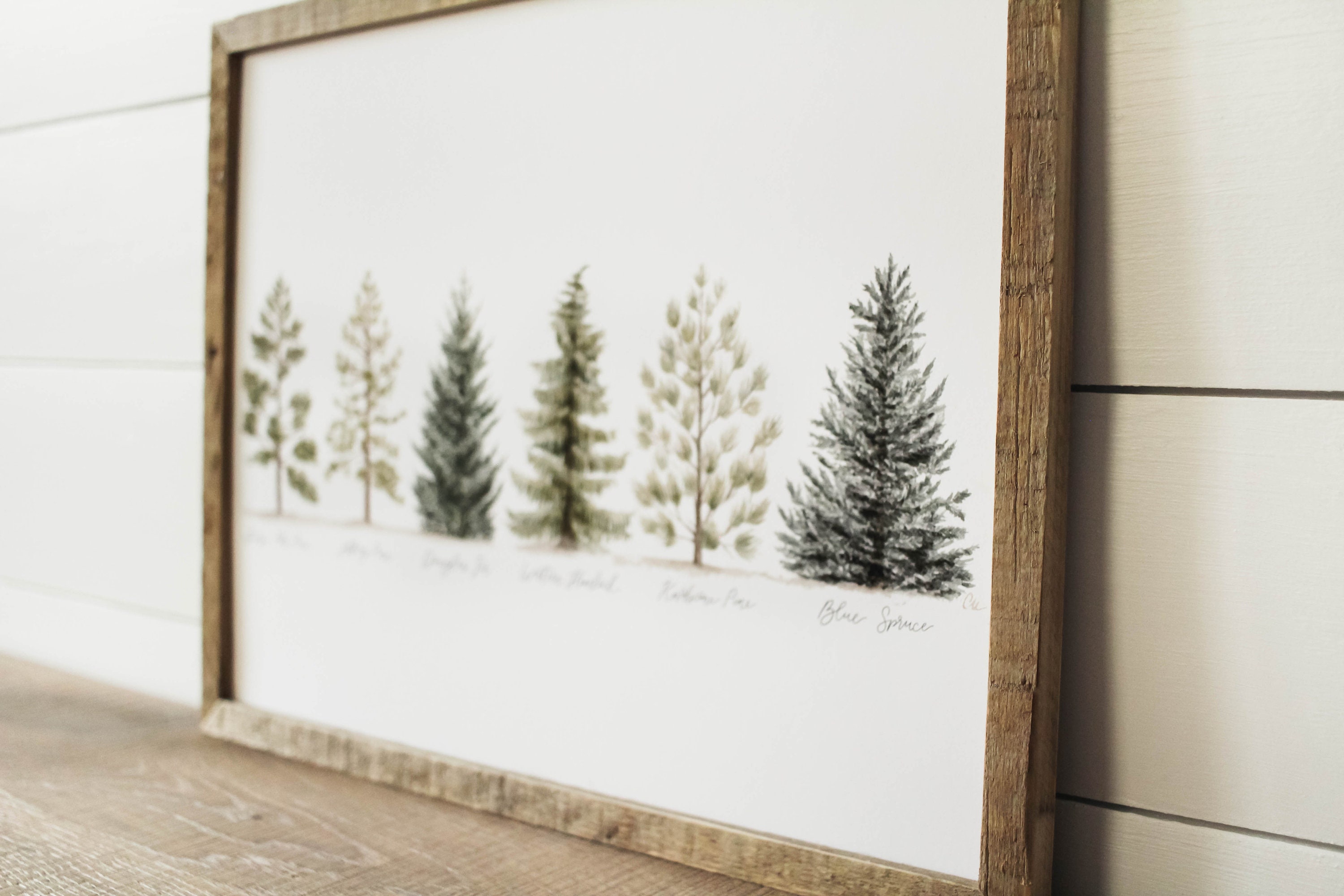 Collection of Evergreens Print Line of Pine Trees Print - Etsy