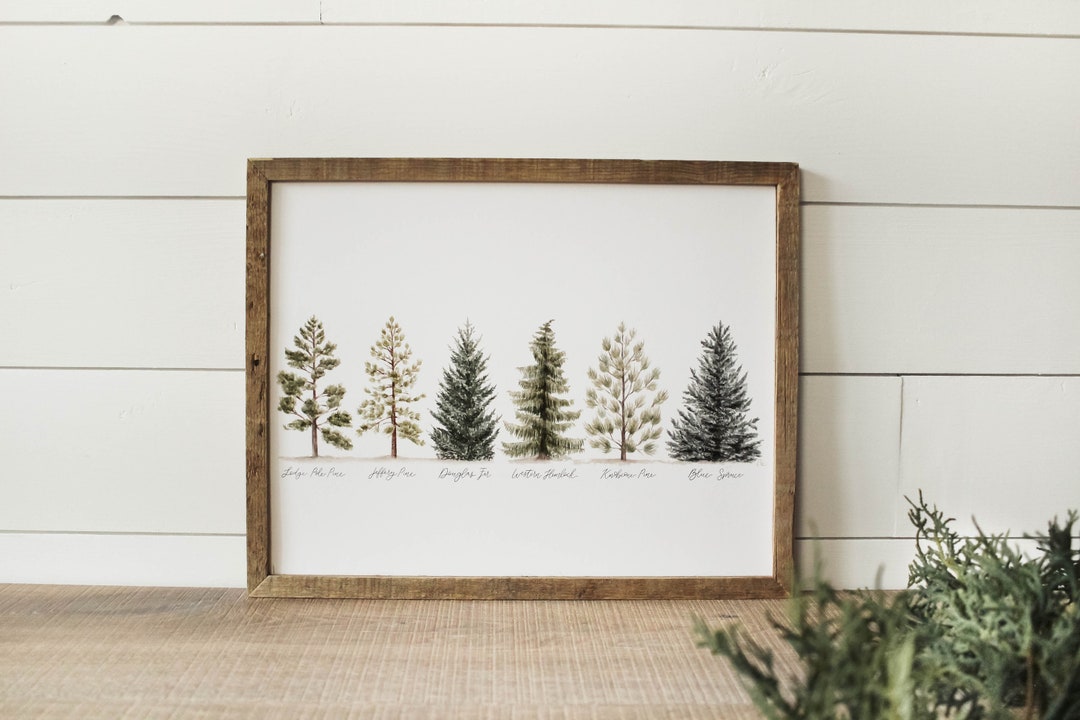 Collection of Evergreens Print - Line of Pine Trees Print, Pine Trees ...