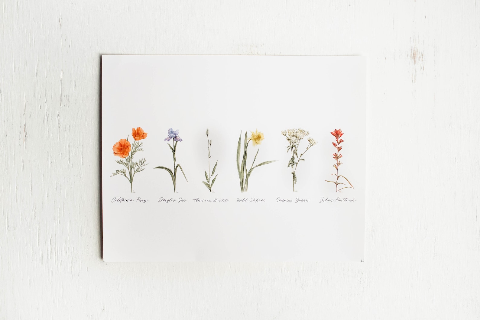 Collection of Wildflowers Print Wildflower Print - Etsy