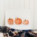 Three Pumpkins Print - Fall Print, Watercolor Pumpkin, Watercolor ...
