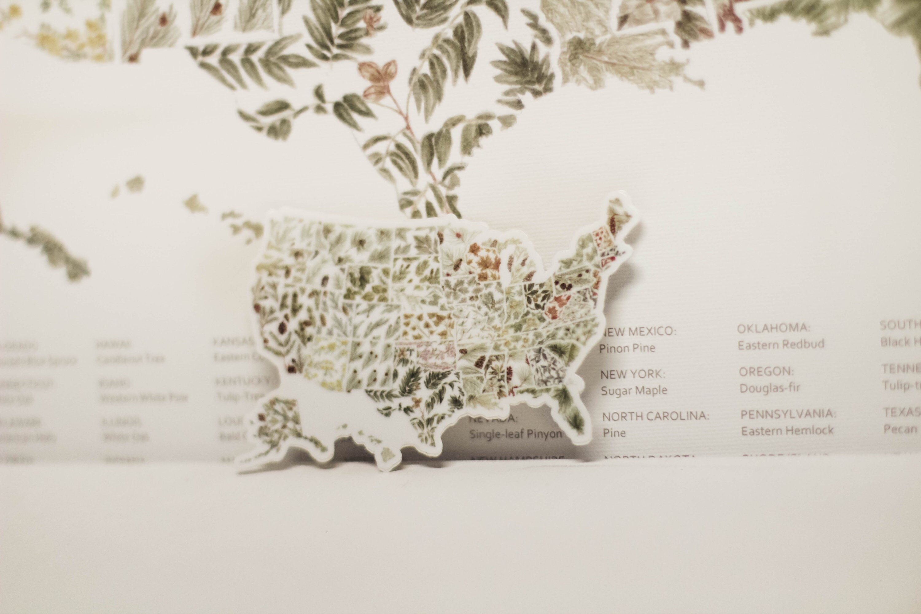 United States Tree Map Sticker US Map Sticker Sticker Art - Etsy
