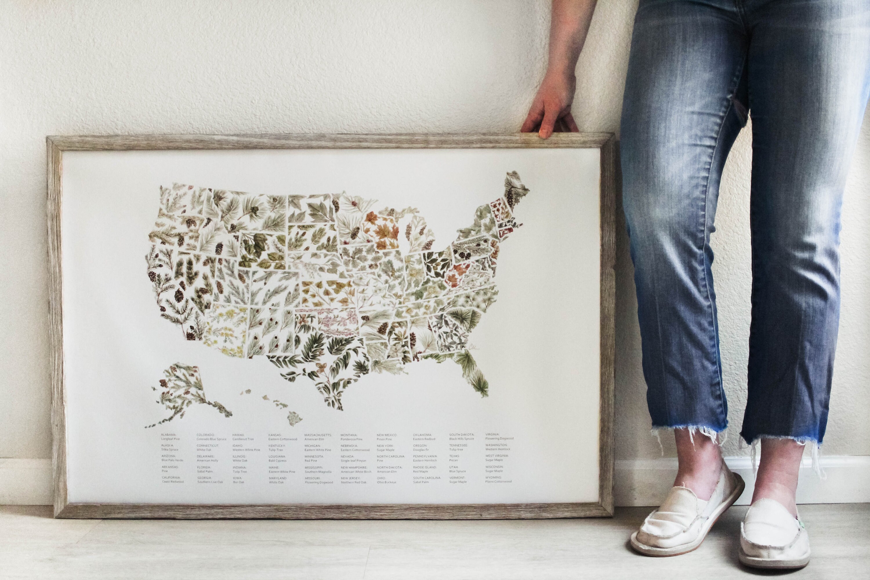 Large United States Tree Map Print Poster Size US Map | Etsy