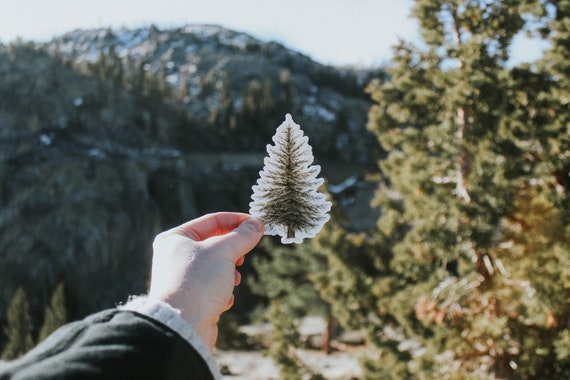 Evergreen Pine Tree Sticker Tree Sticker Sticker Art | Etsy