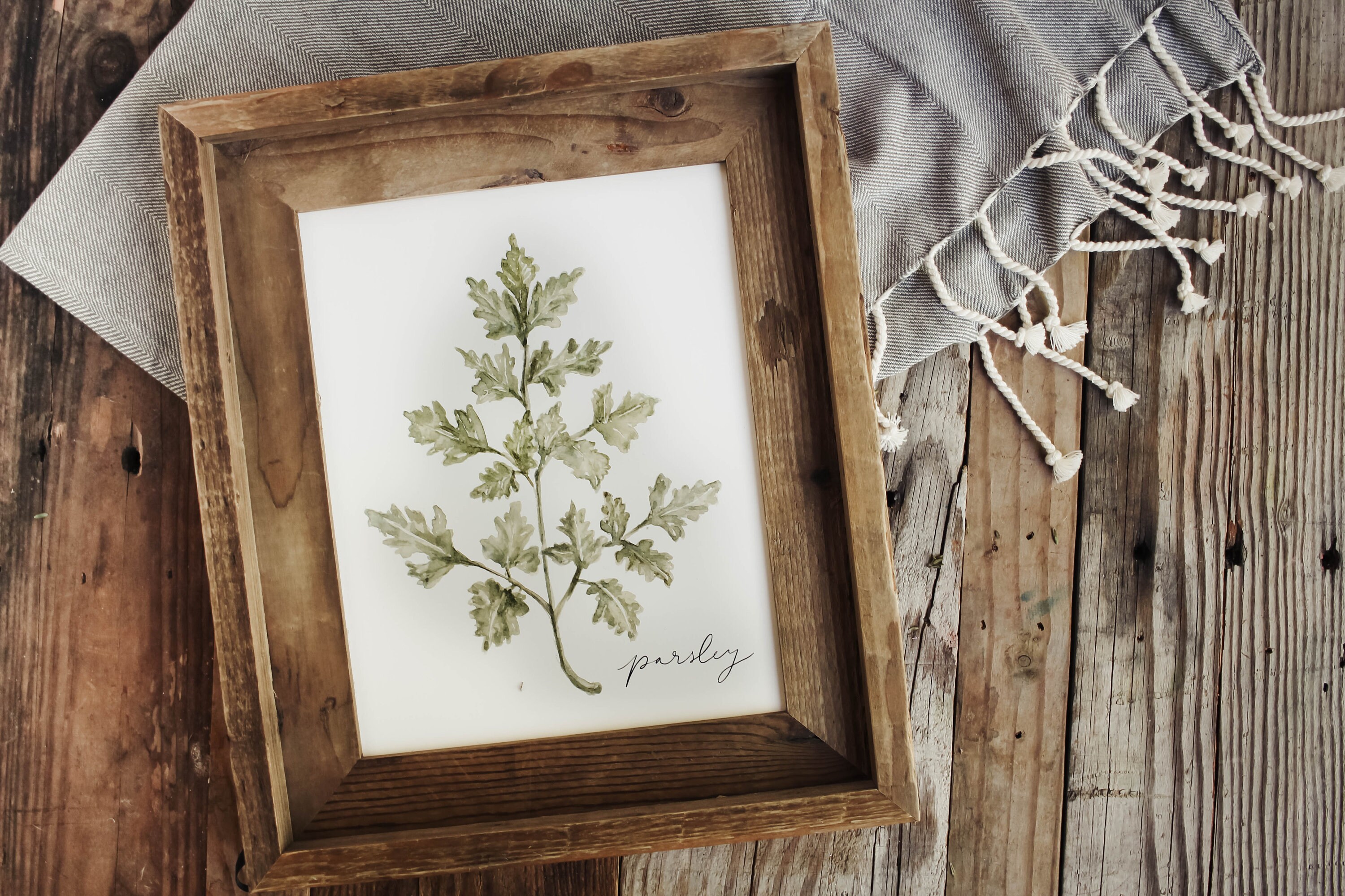 Parsley Print - Watercolor Parsley Print, Home Decor Print, Herb Print ...