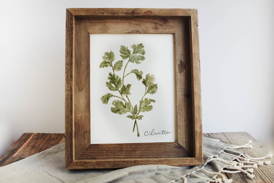 Cilantro Print, Watercolor Cilantro Print, Home Decor Print, Kitchen ...