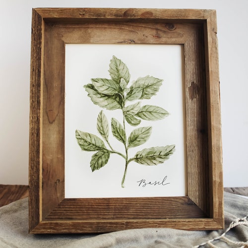 Basil Print Watercolor Basil Painting Herb Print Basil - Etsy