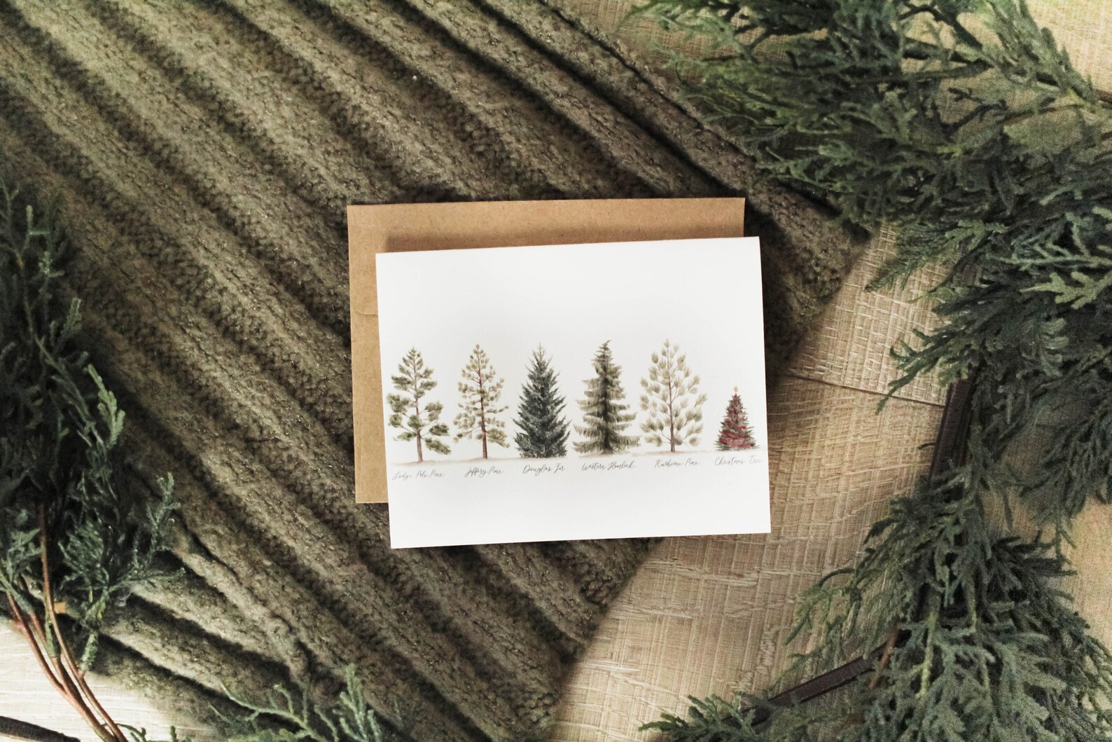 Christmas Collection of Evergreens Card - Evergreen Trees, Pine Tree ...