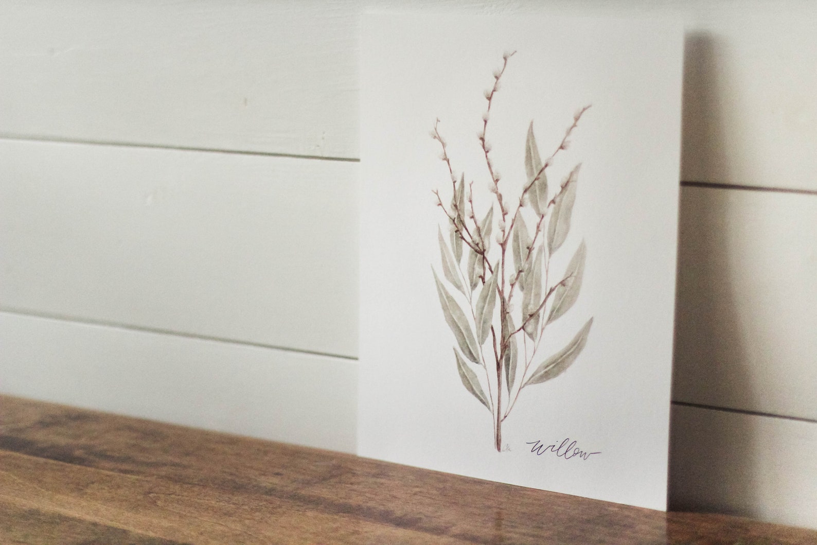 Willow Leaves Print - Plant Print, Watercolor Willow, Watercolor Print ...