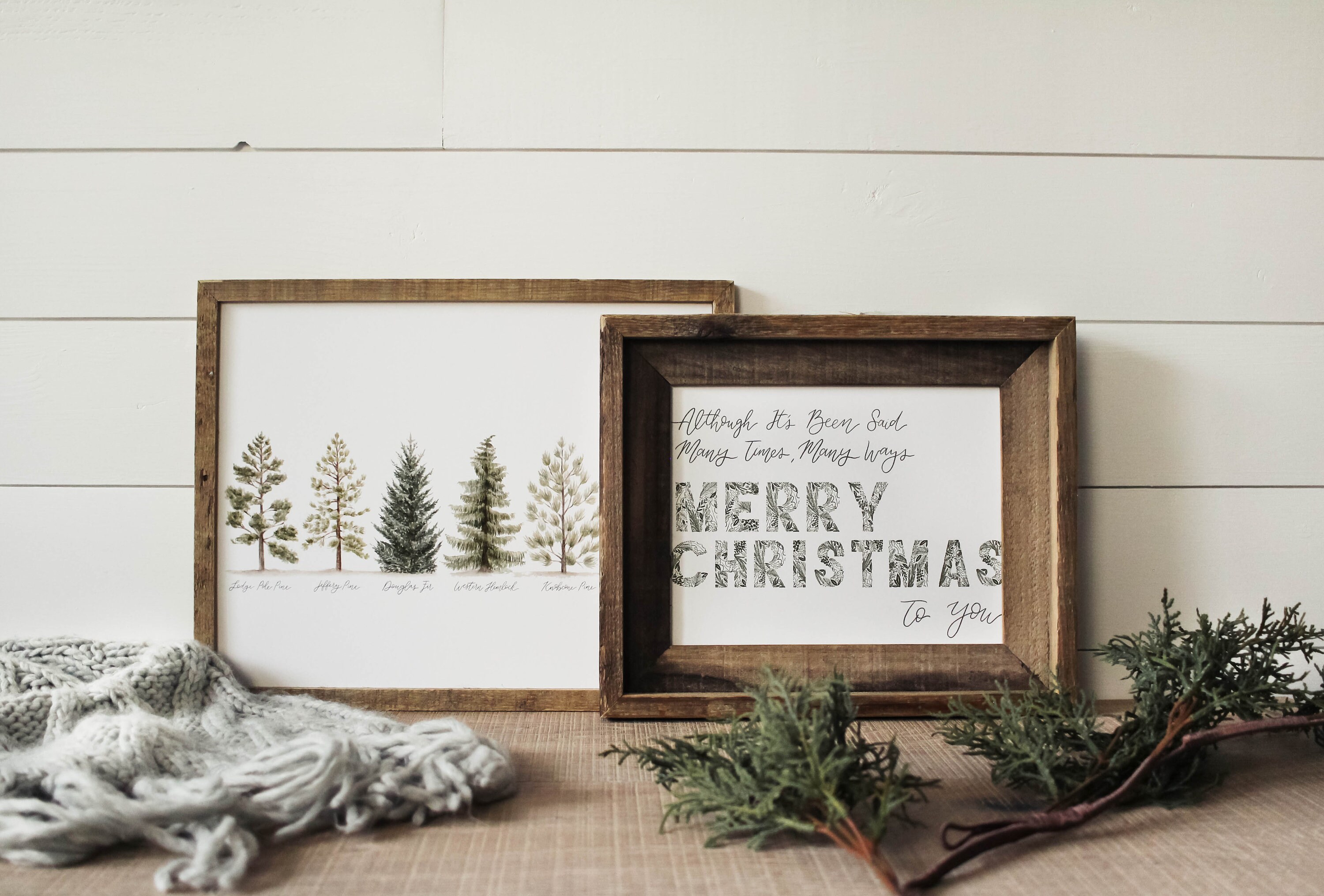 Collection of Evergreens Print Line of Pine Trees Print - Etsy