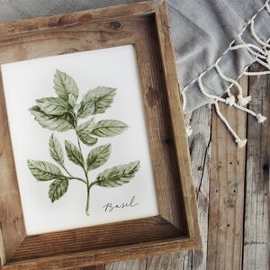 Basil Print - Watercolor Basil Painting, Herb Print, Basil Print ...