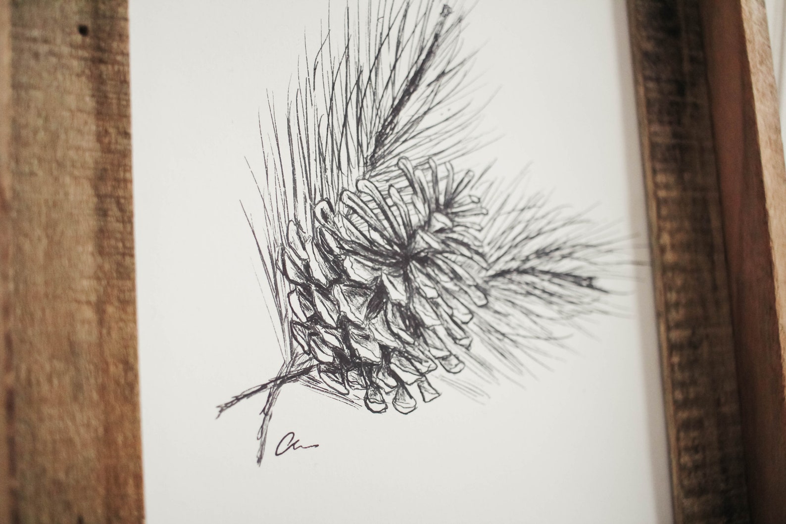 Pine Cone Print - Pine Cone, Sketch, Mountain Decor, Pinecone Print ...