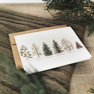 Christmas Collection of Evergreens Card - Evergreen Trees, Pine Tree ...