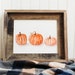 Three Pumpkins Print - Fall Print, Watercolor Pumpkin, Watercolor ...