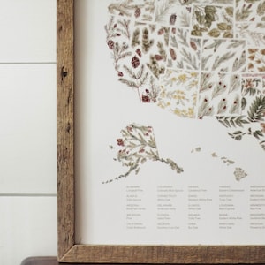 United States Tree Map - State Trees Print, State Trees, Watercolor Map ...