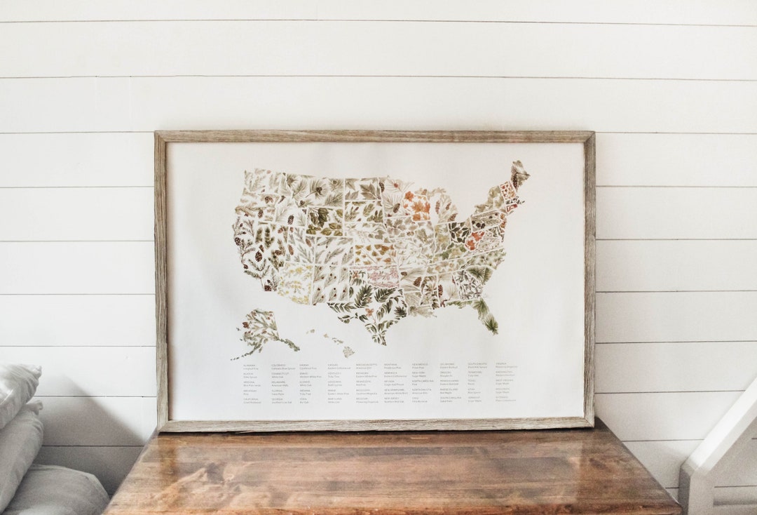 Large United States Tree Map Print - Poster Size, US Map, School Room ...