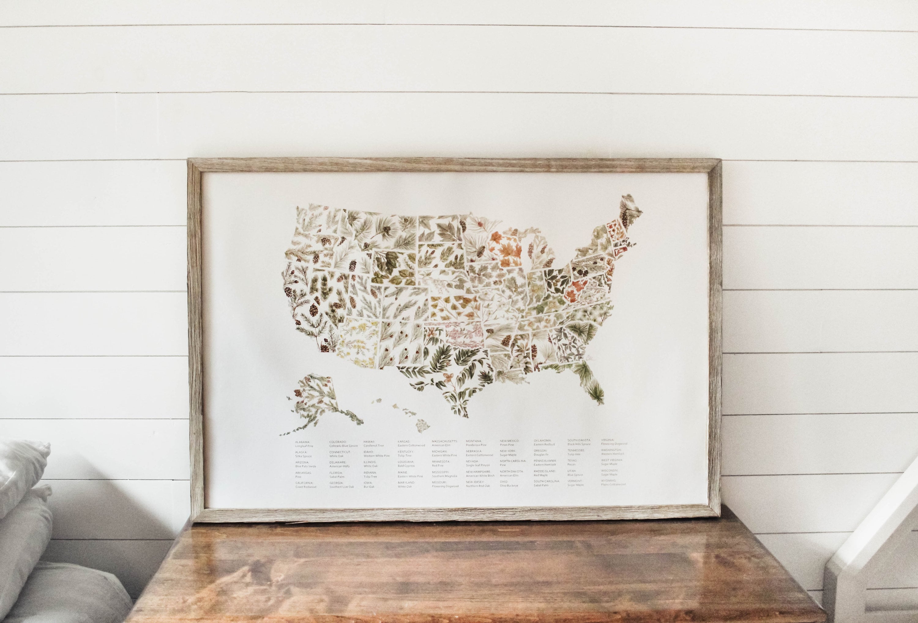 Large United States Tree Map Print Poster Size US Map | Etsy