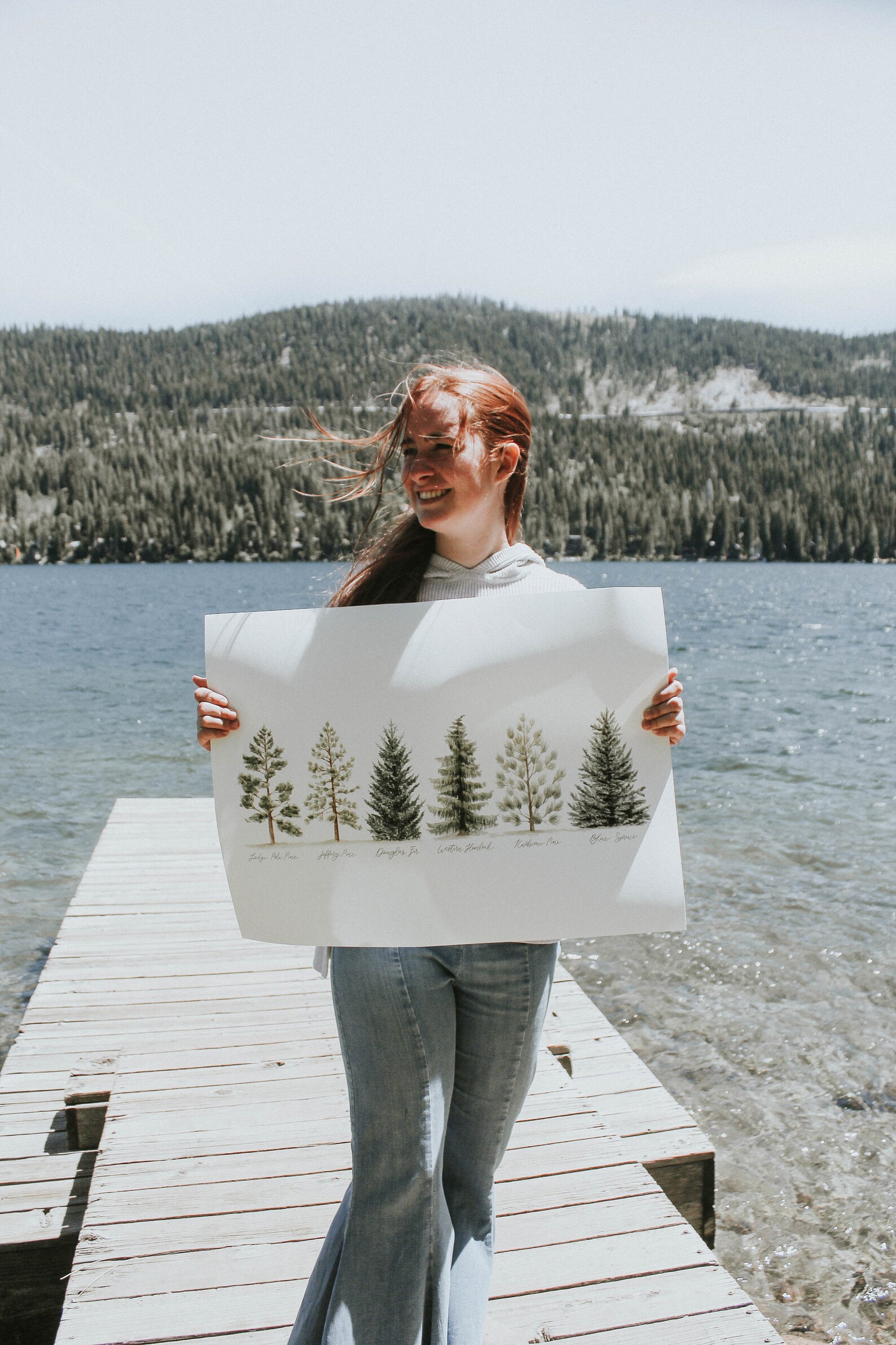 Large Collection of Evergreens Print 18x24 Print Poster - Etsy