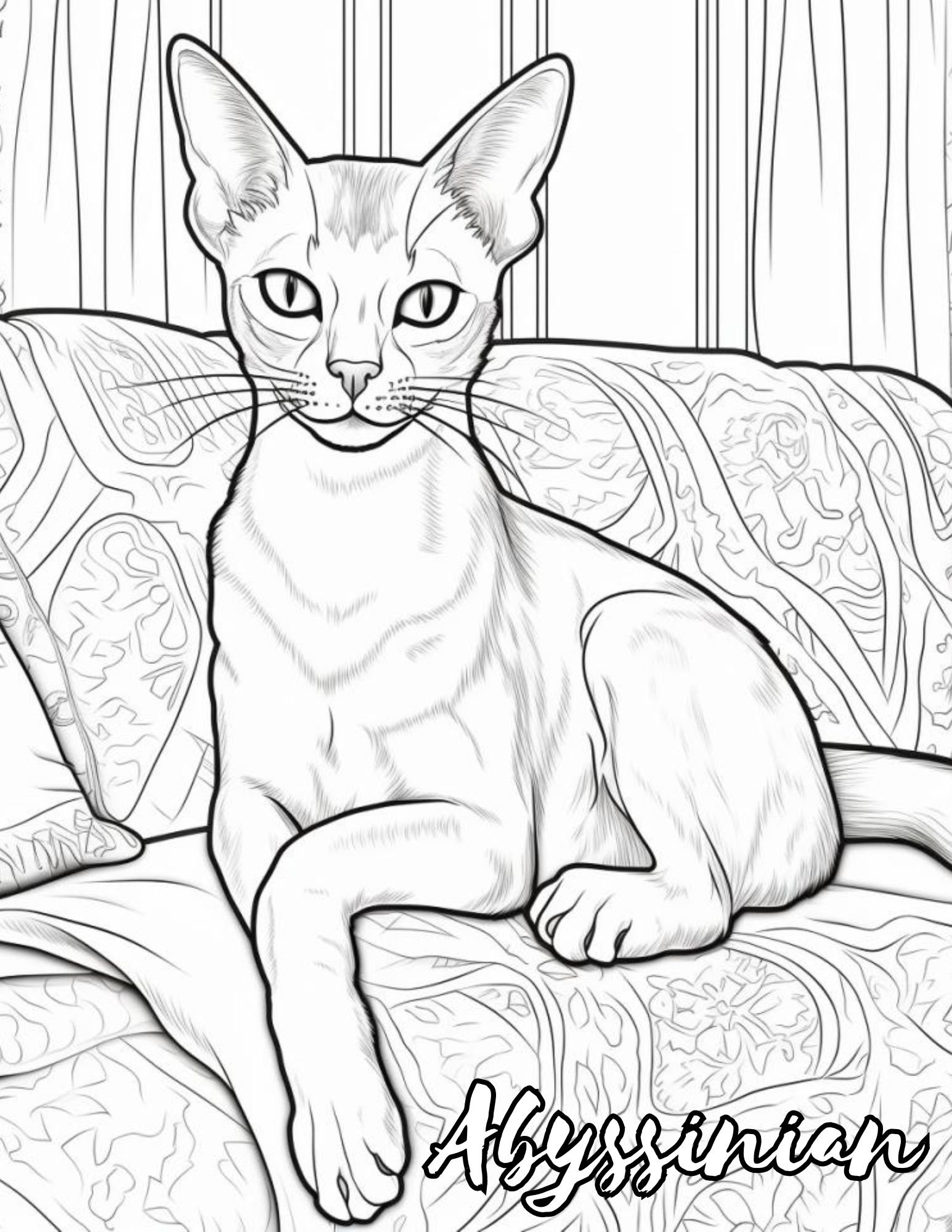 Cat Breed Coloring Pages Detailed Coloring Pages for Adults and Teens ...