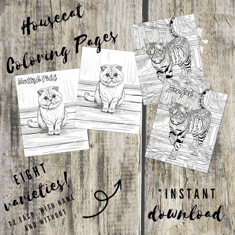 Cat Breed Coloring Pages Detailed Coloring Pages for Adults and Teens ...