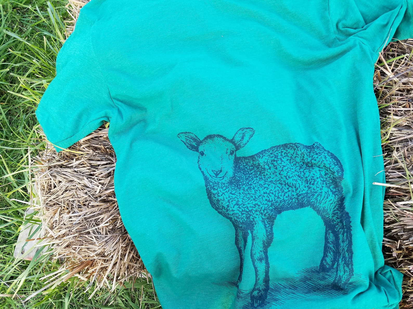 Baby Sheep Animal T Shirt - Lamb Tee Shirt - Lamb Tee - Unisex Bella ...