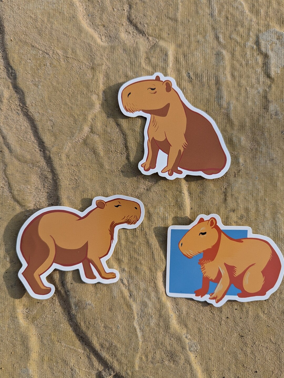 Capybara Vinyl Sticker - Etsy
