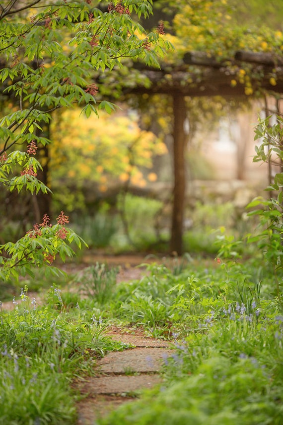 Digital Photo Backgrounds Free Download