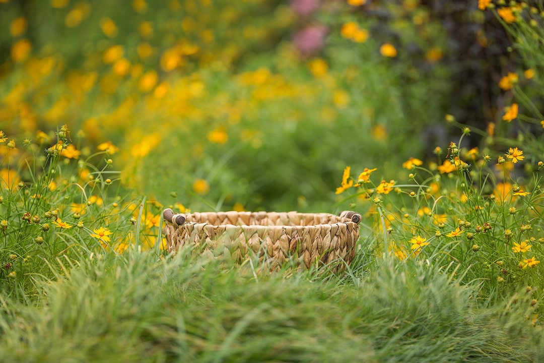 Newborn Digital Backdrop, Summer Digital Backdrop, Spring Digital ...