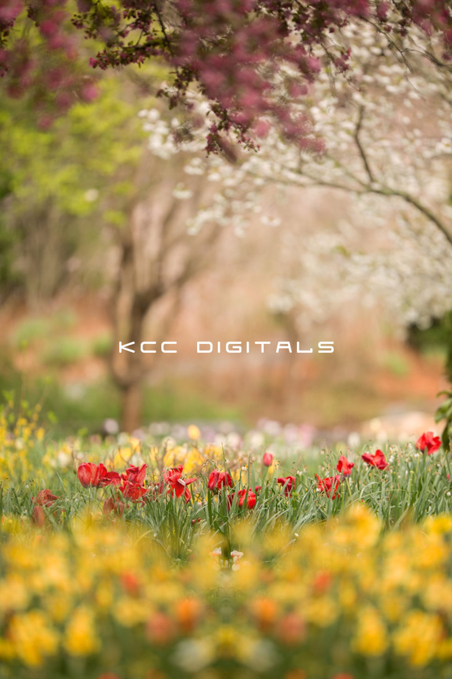 Digital Backdrop Summer Digital Backdrop Spring Digital | Etsy