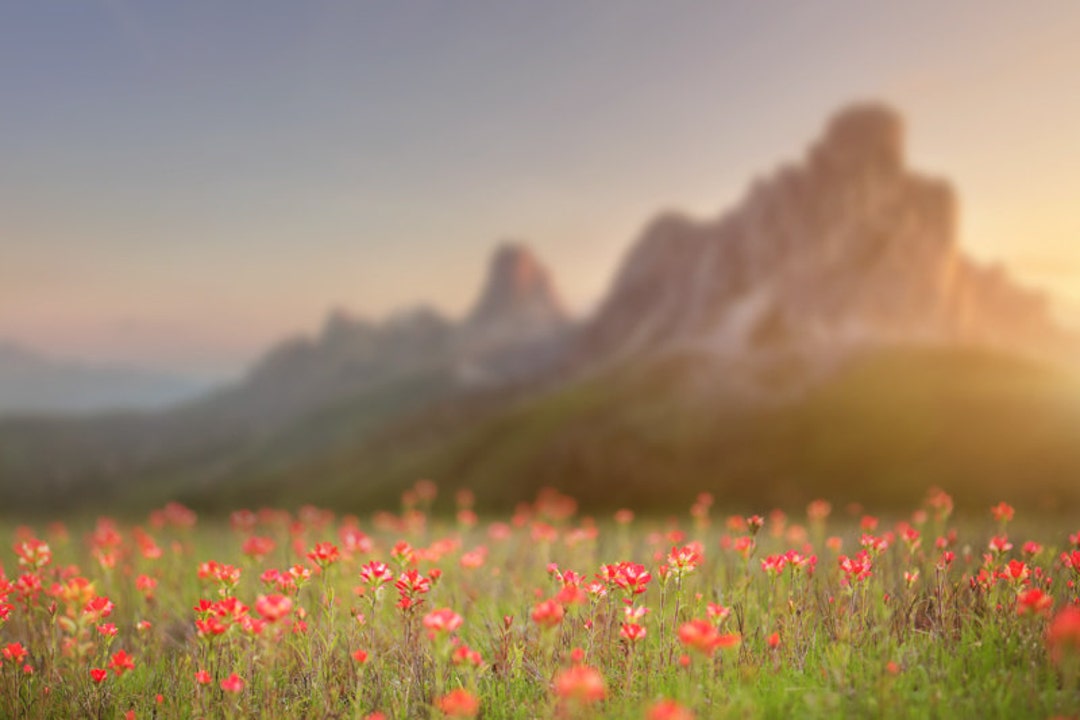 Spring Backdrop, Summer Digital Backdrop, Spring Digital Background ...