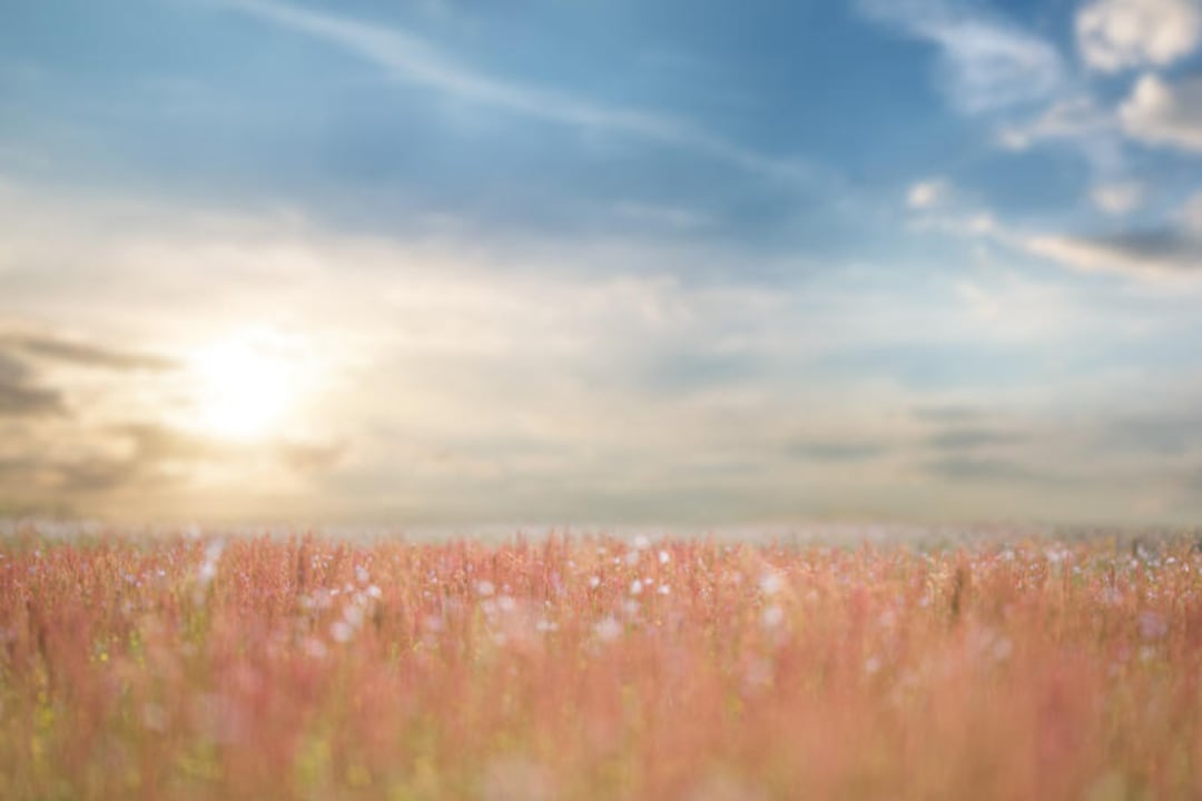 Twitter Backgrounds For Summer