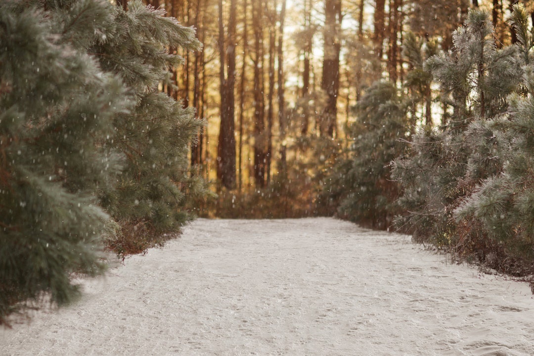 Winter Snowy Backdrop, Snow Digital Backdrop, Digital Background ...