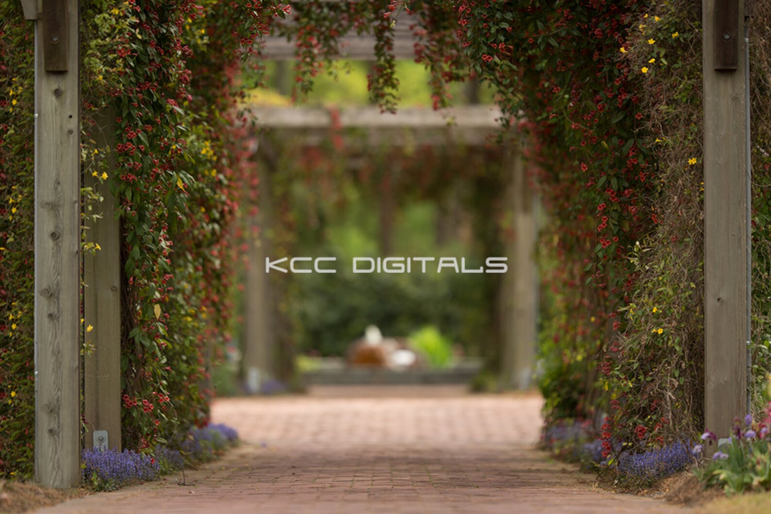 Spring Backdrop Summer Digital Backdrop Digital Background | Etsy