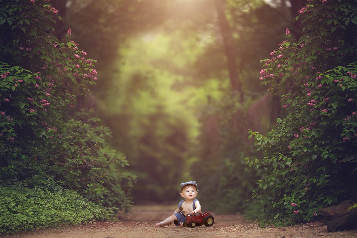 Spring Backdrop Summer Digital Backdrop Digital Background - Etsy