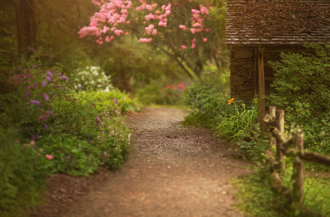 Craft Supplies & Tools Photography Spring Digital Background for Ps ...