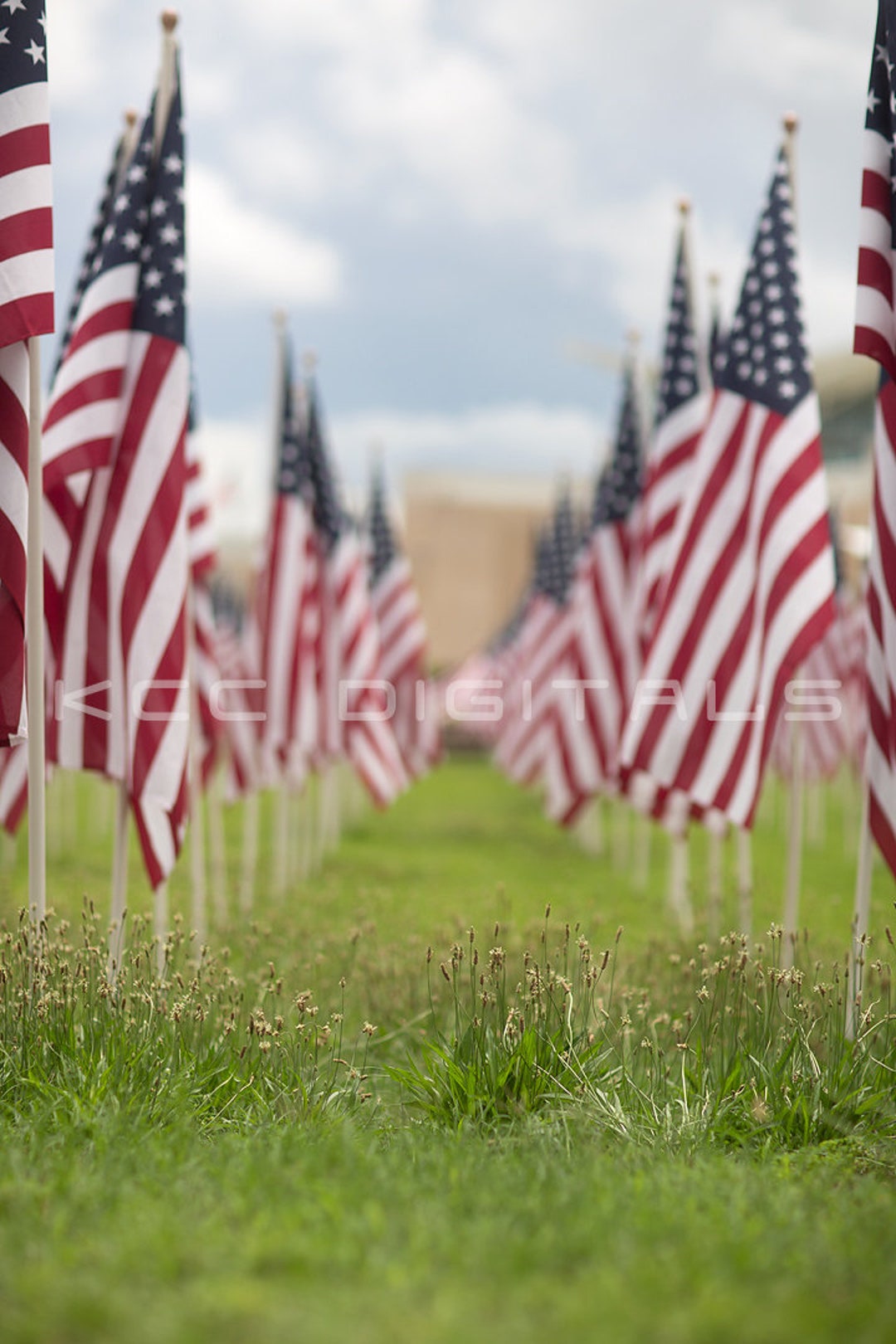 4th of July Digital Backdrop,summer Backdrop, Digital Background, Flag ...