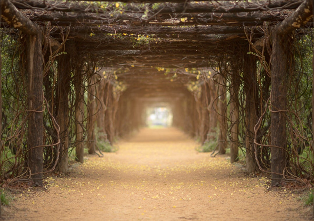 Spring Backdrop, Summer Digital Backdrop, Digital Background, Fall ...