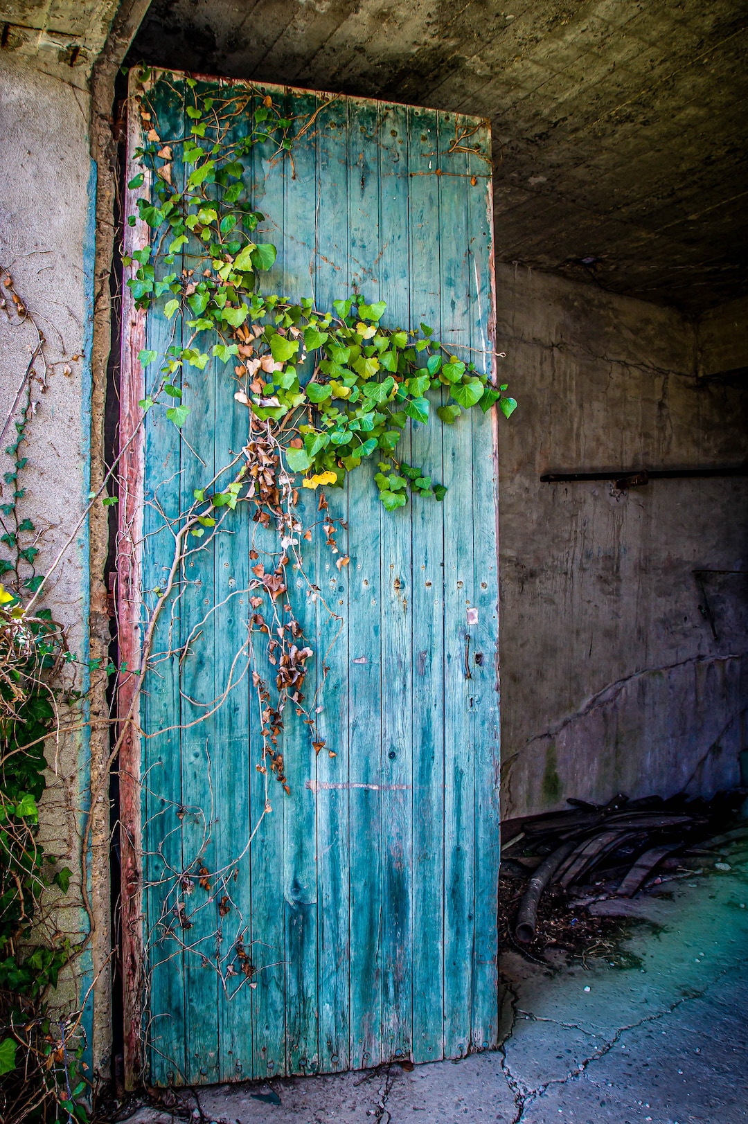 Phot Print of a Old Turquoise Barn Door in the South of France - Etsy
