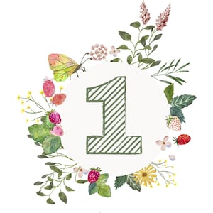 Wildflower Birthday Svg, First Birthday Svg, Wild One Birthday Png ...