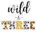 Wild and Three SVG, Safari Birthday PNG (digital) - Etsy