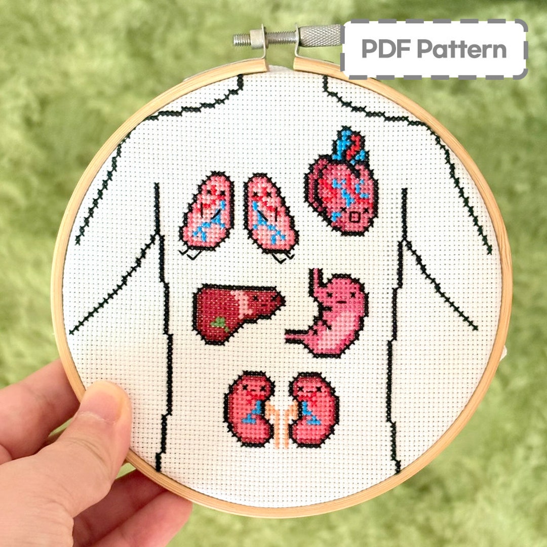 Human Body Anatomy Cross Stitch Pattern Organ Cross Stitch, Anatomical ...