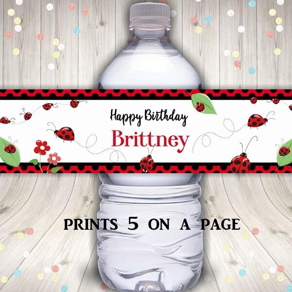 Ladybug Water Bottle - Etsy