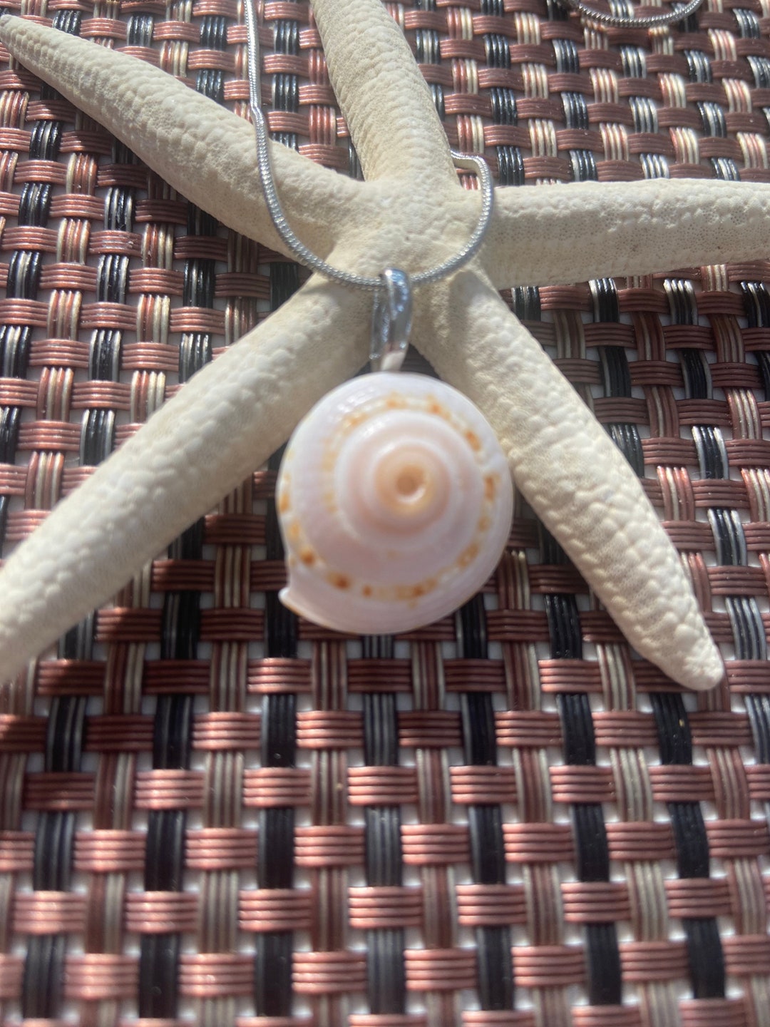 Sundial Shell Necklace - Etsy